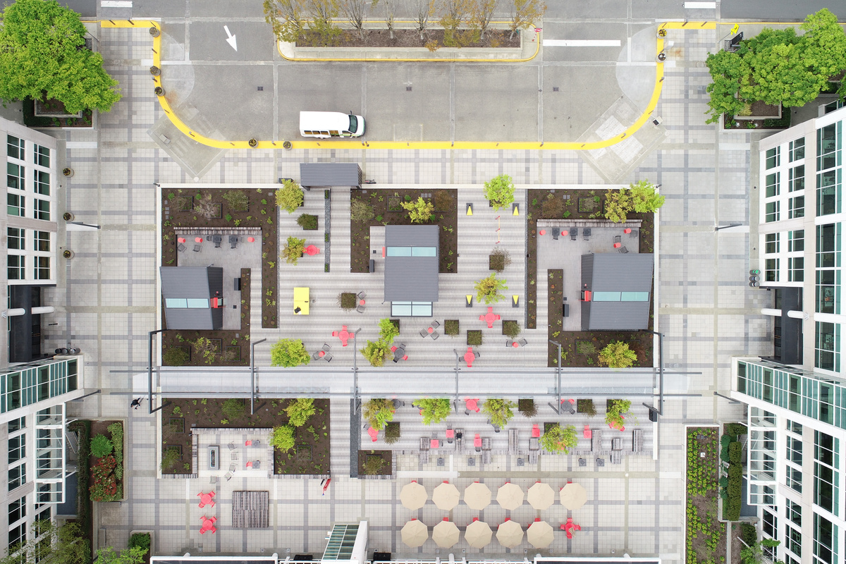 Open City Architecture