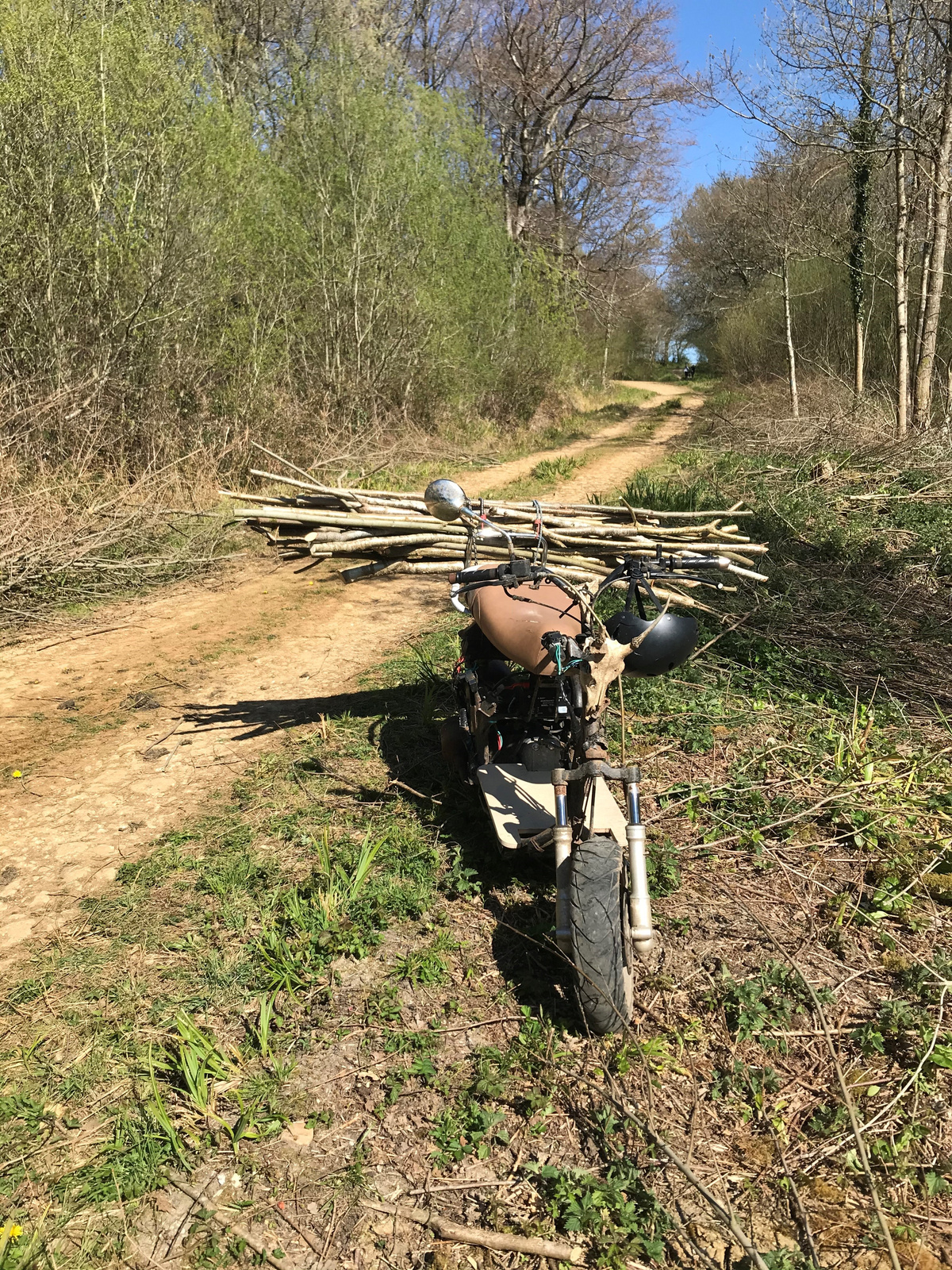 Coppice Blocks — SylvaStudio