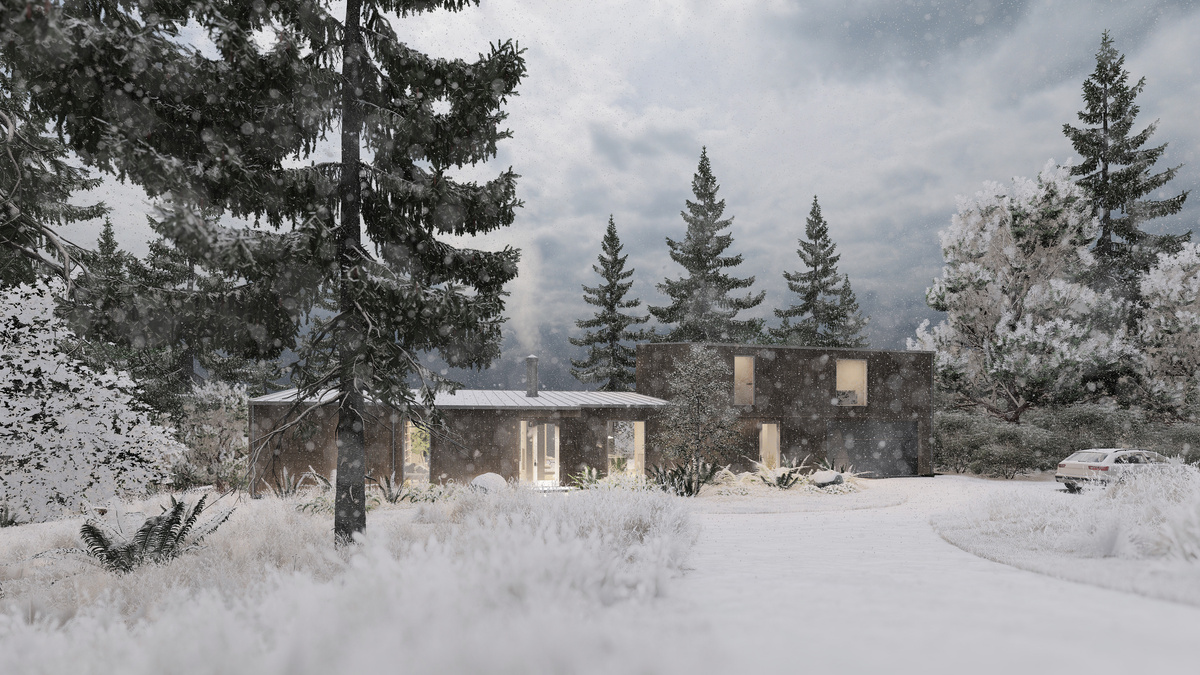 Point Robinson Residence — Ment Architecture