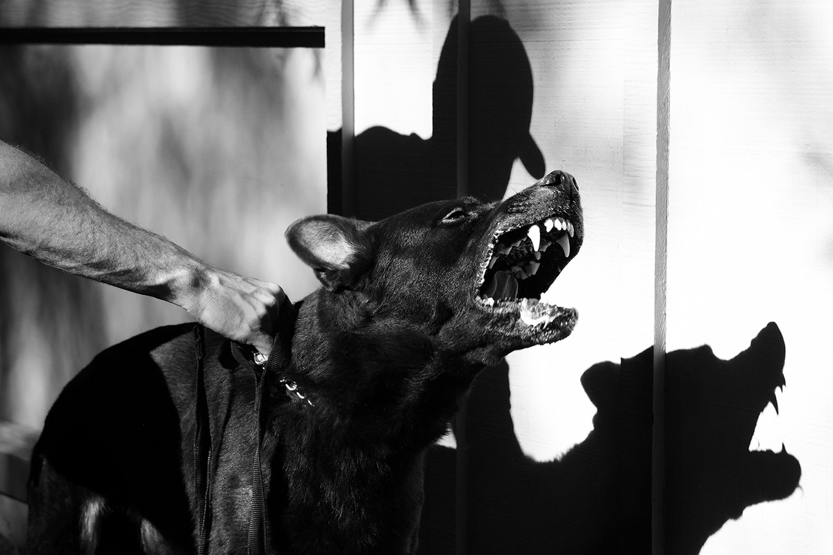 GAVIN DE BECKER & ASSOCITATES — www.zensekizawa.com