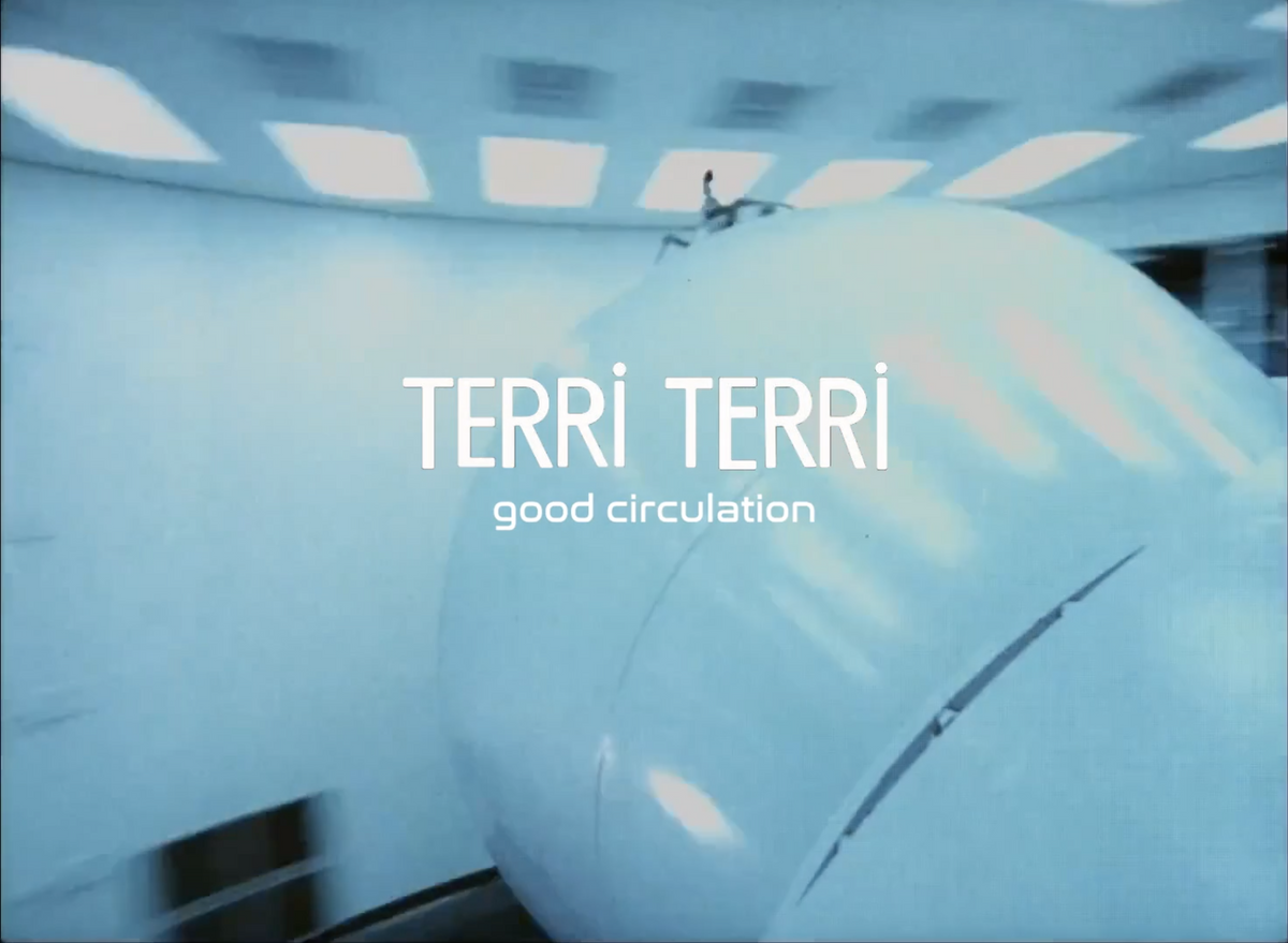 Terri Terri - Good Condition — Codi Barbini