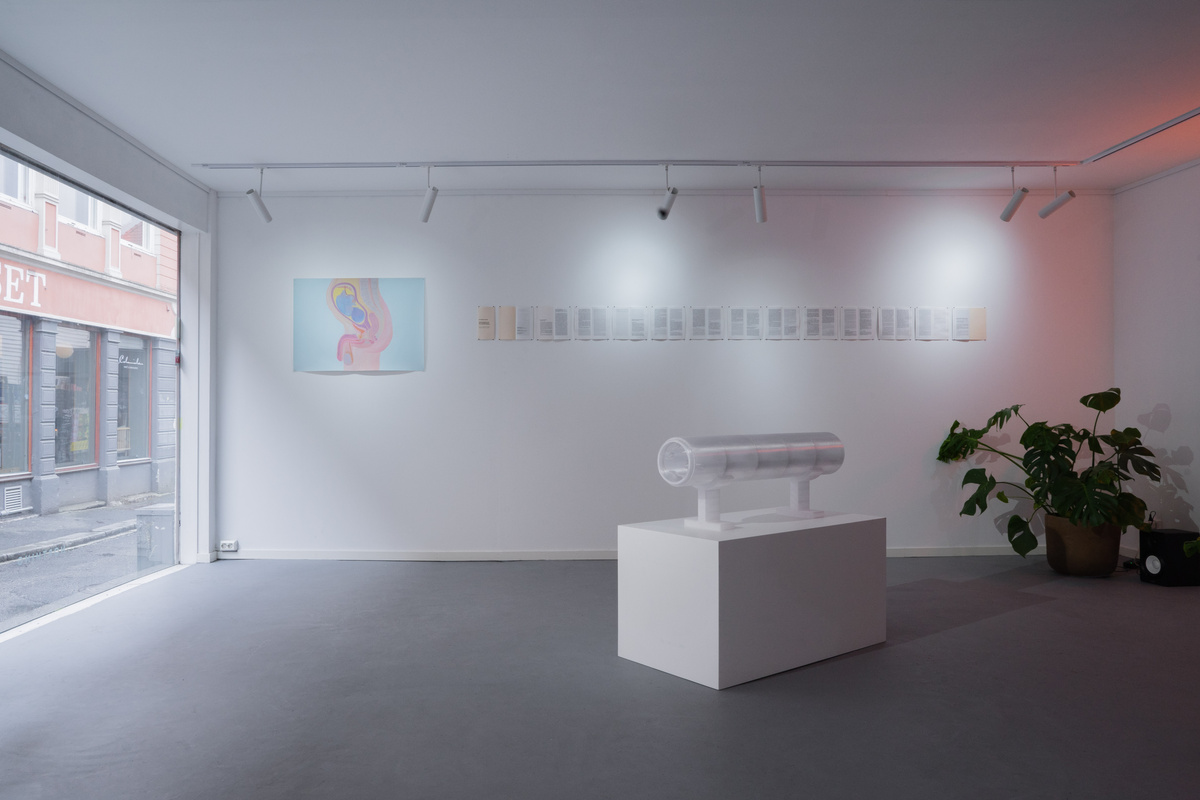 Omega and (Anti-)Decay Atlas — Jinbin Chen