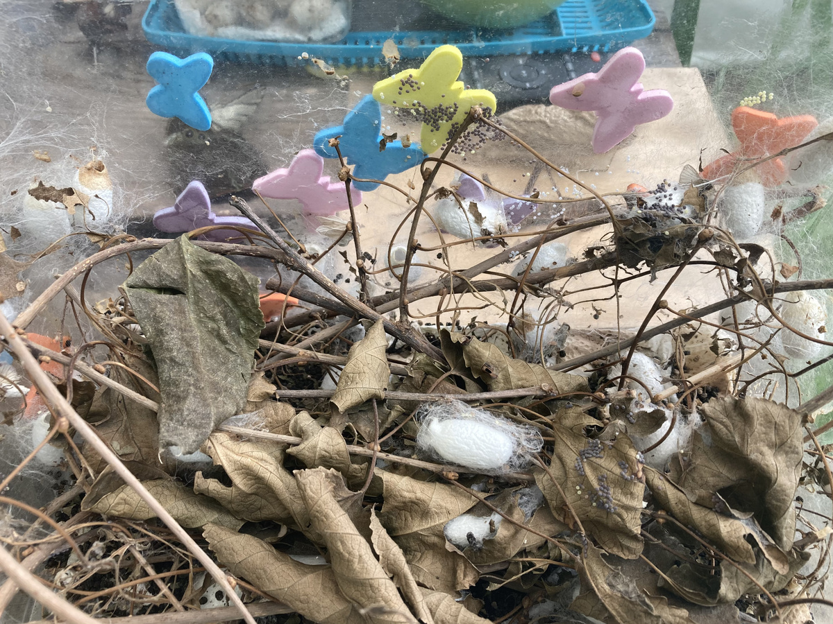 home — SK Andersen