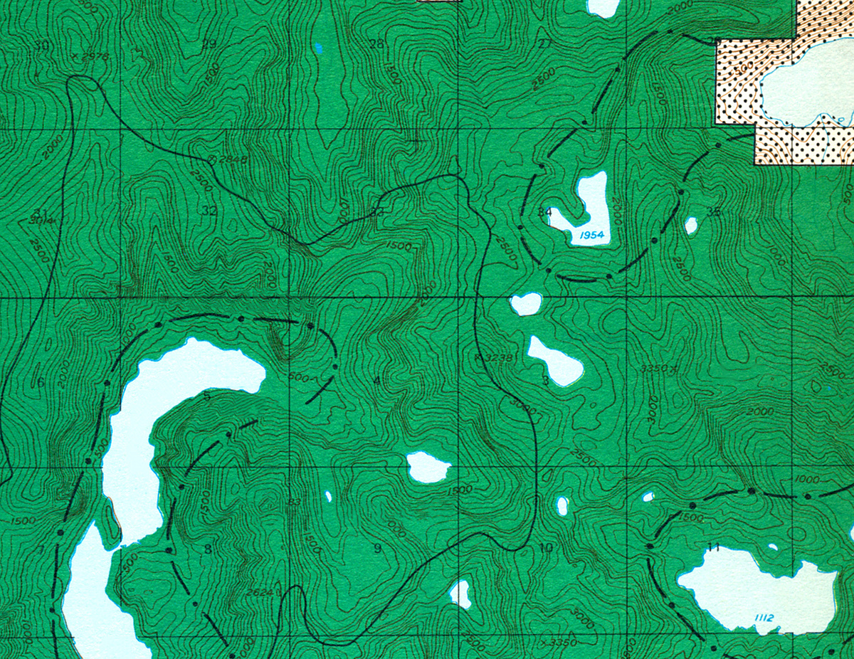 Overview — LEETOMIC