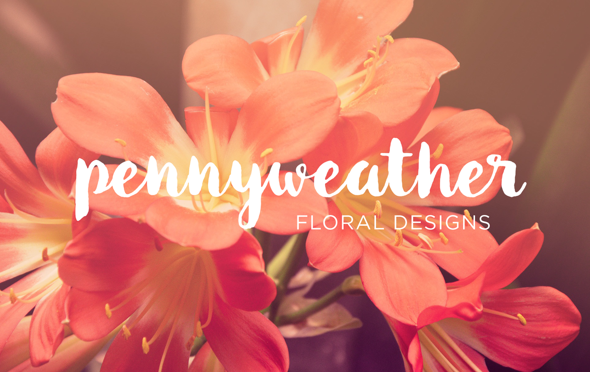 Pennyweather — Jen Paolini | Content, Editorial, Art Direction