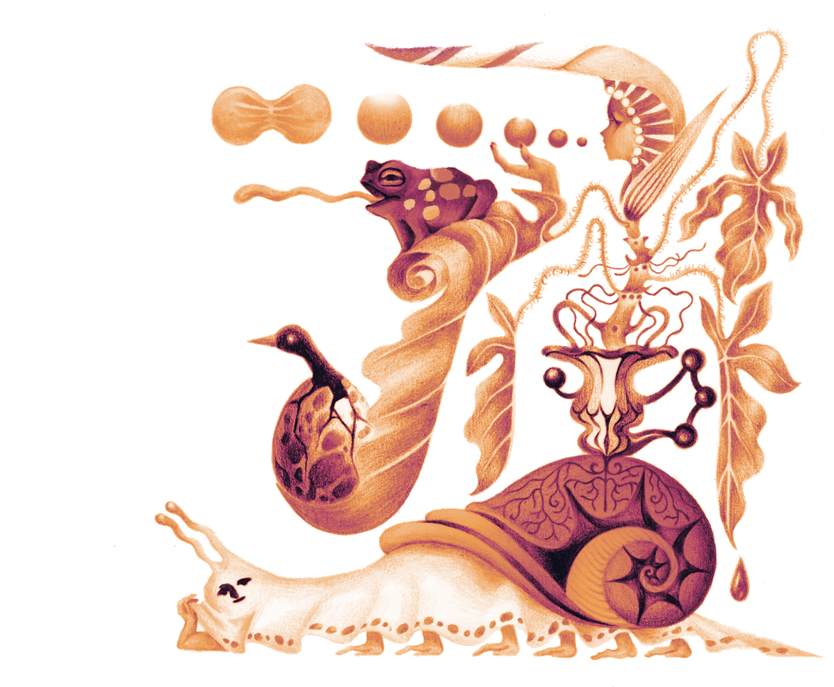 About — Ada Zejun Shen