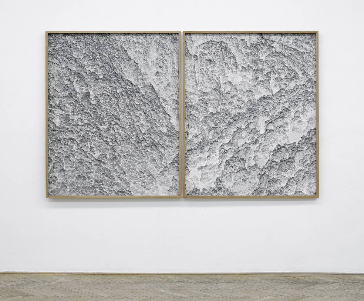 Forest — Tamas Dezsö