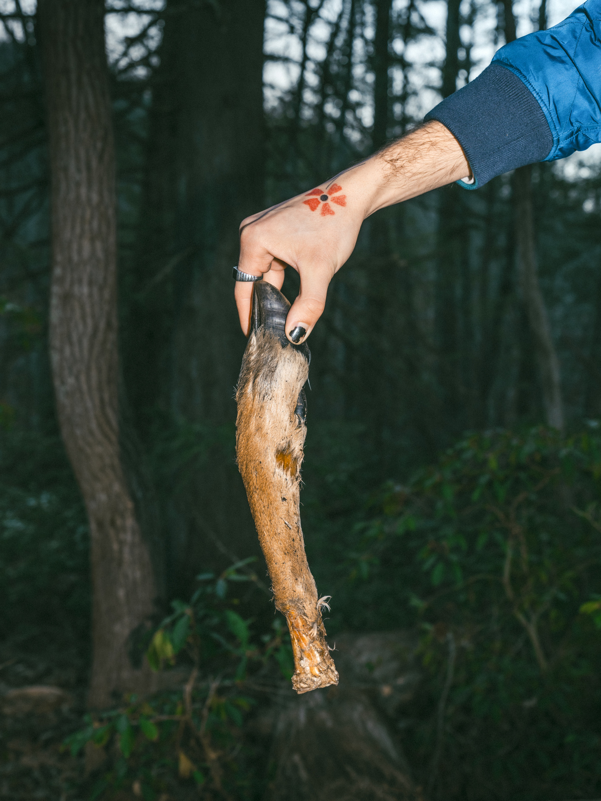 After the Embers Burn and Die — Jake Benzinger