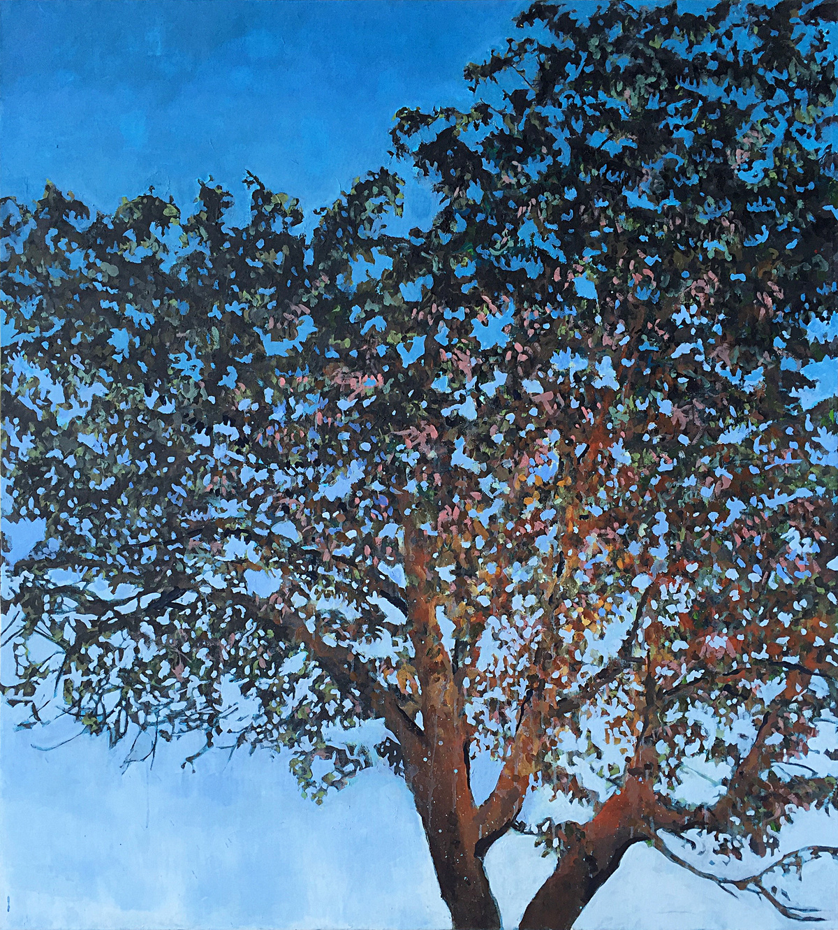 与诗人合作 — samuel nilsson