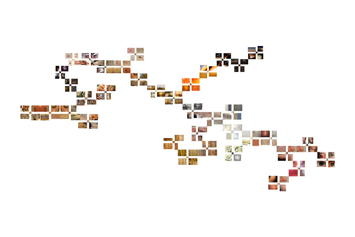 Data Bodies — Paco Orbú