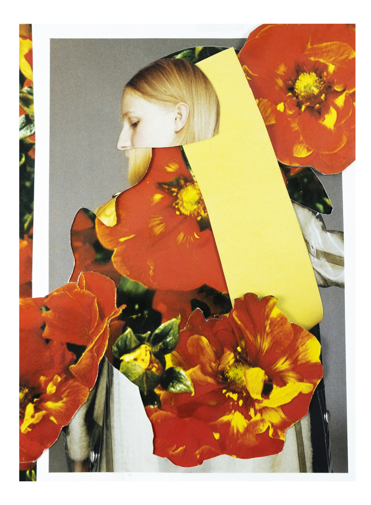 The origin of the Rose — Meriç Canatan