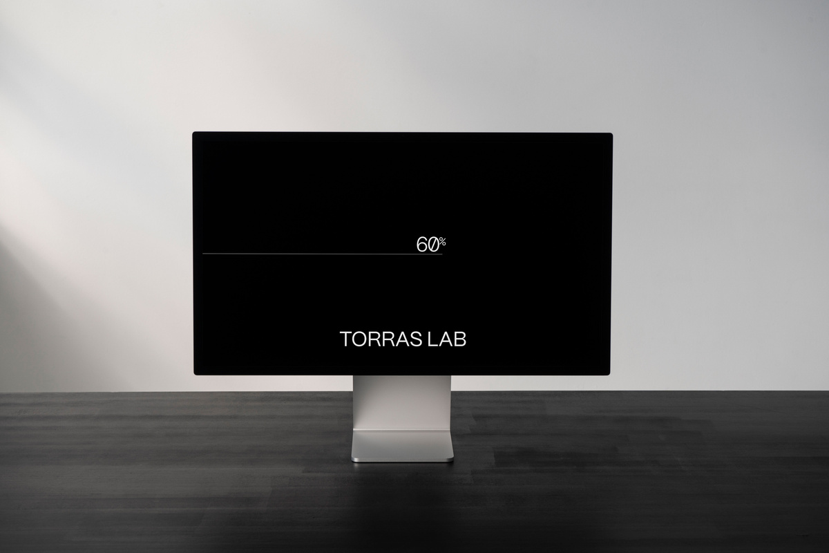 TORRAS LAB — lizilab 粒子实践 ｜Design + Curation
