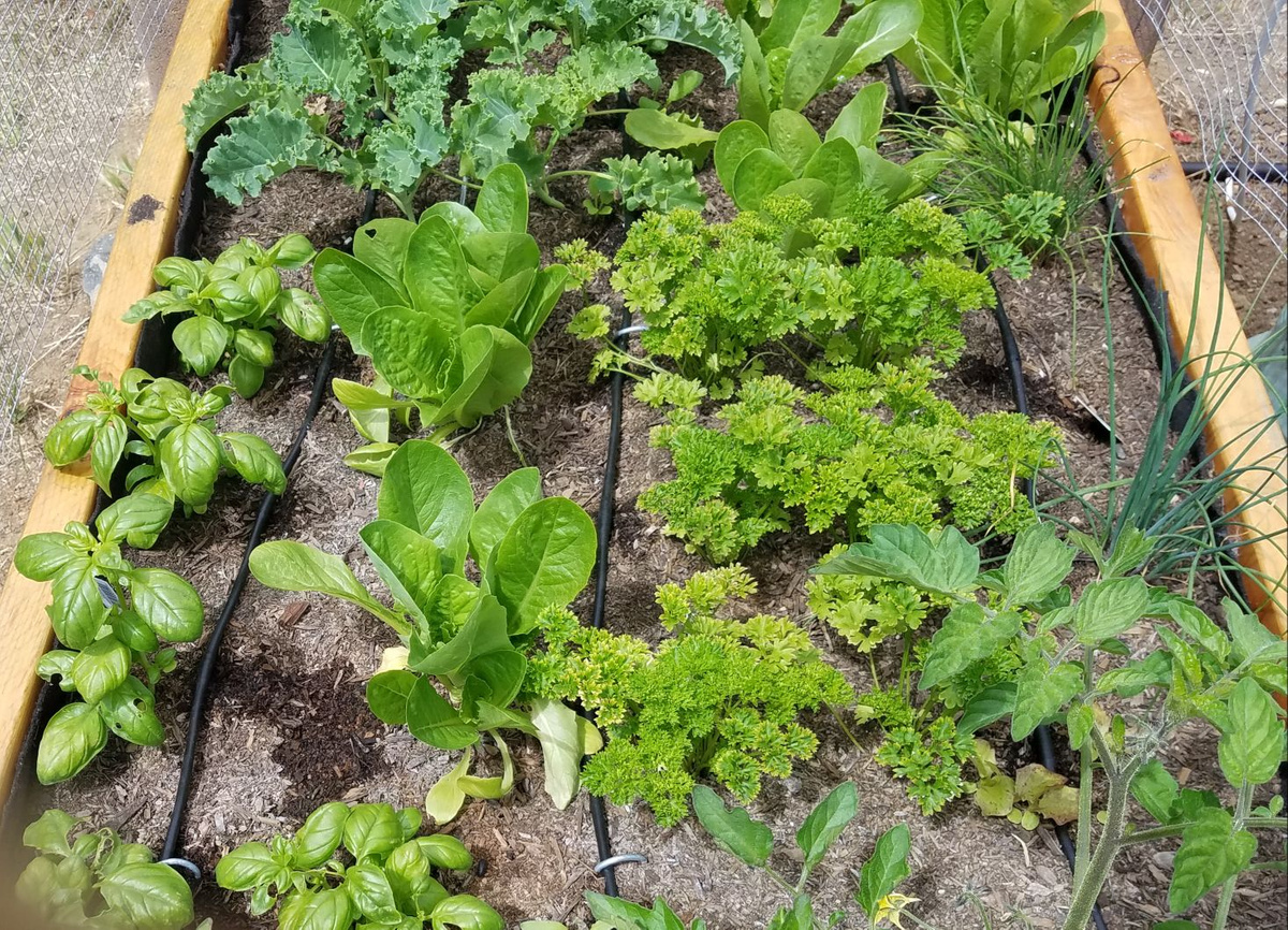 Design — Joey Fishman's Portfolio