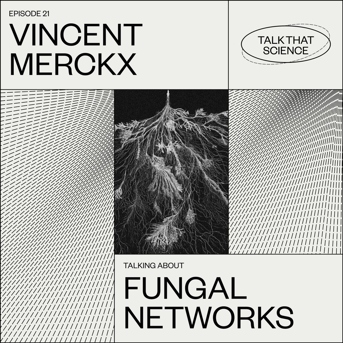 Fungal Networks — Talk That Science