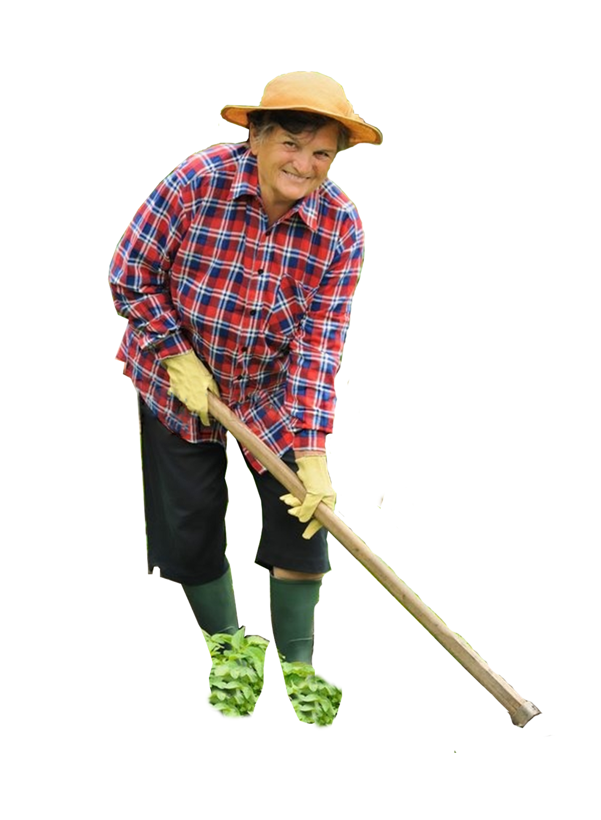 006 — Elderly Entourage