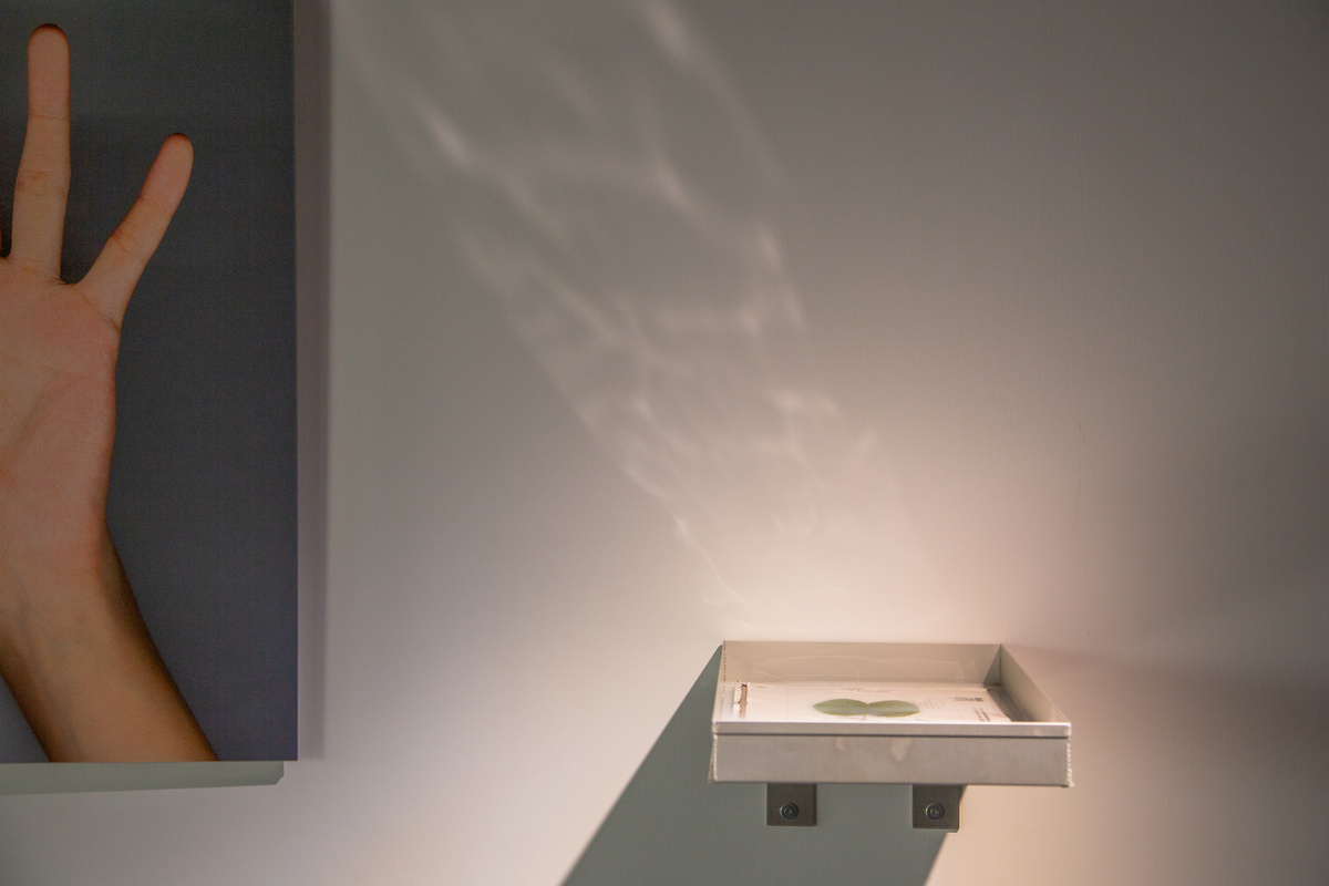 Guests from the South — Liao Jiaming