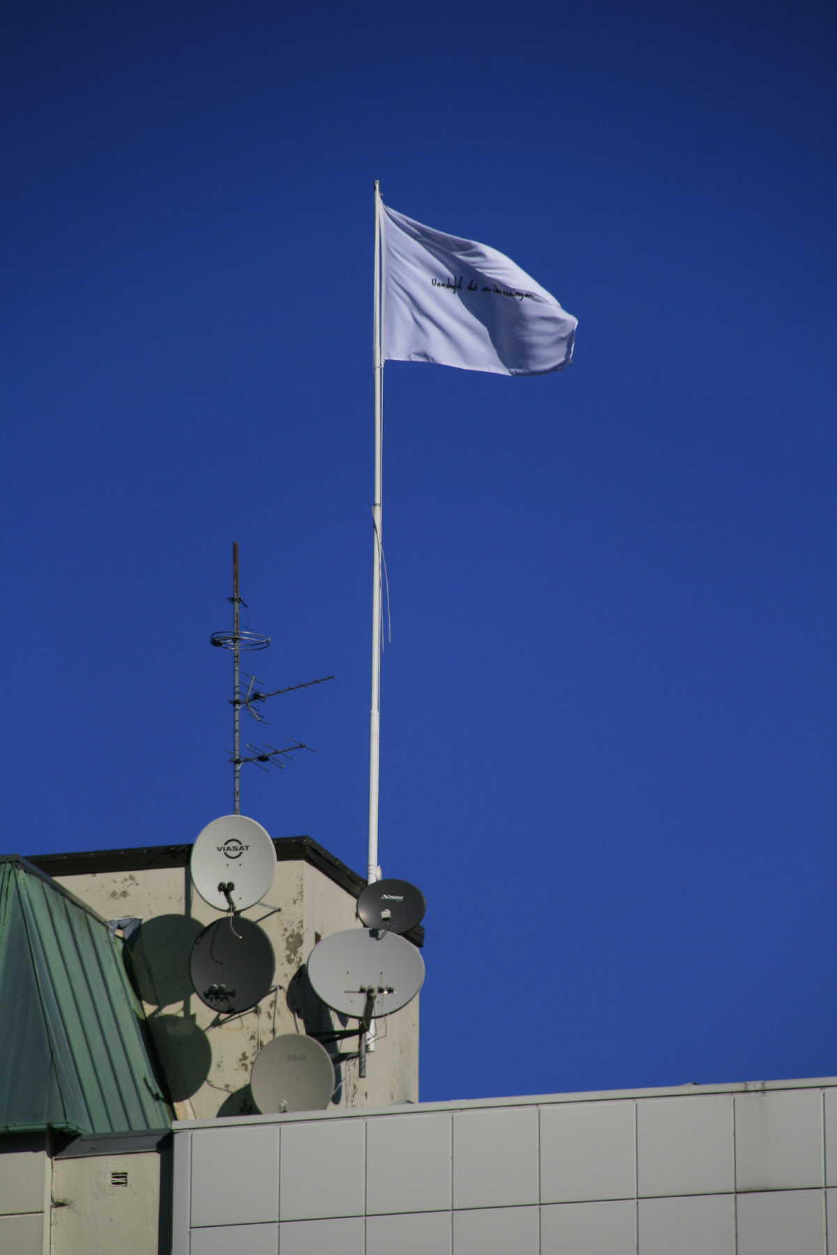 Flag Project — Borghild R. Unneland Kunstner / Artist