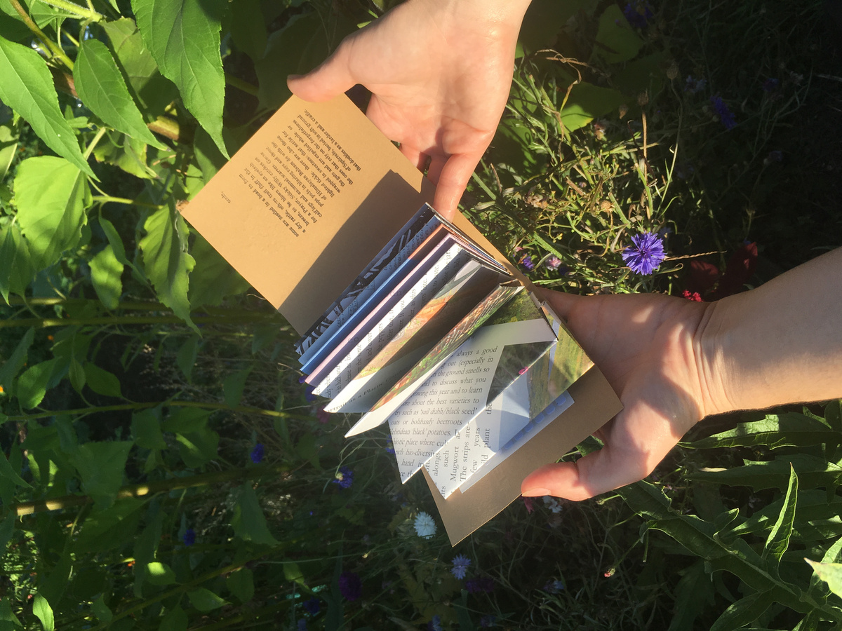 Breakfast Wheel — Pearl Moss Press