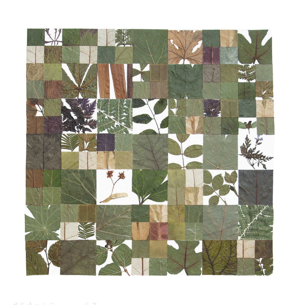 Bladeren van Familie Boeder-Udo — Milah van Zuilen