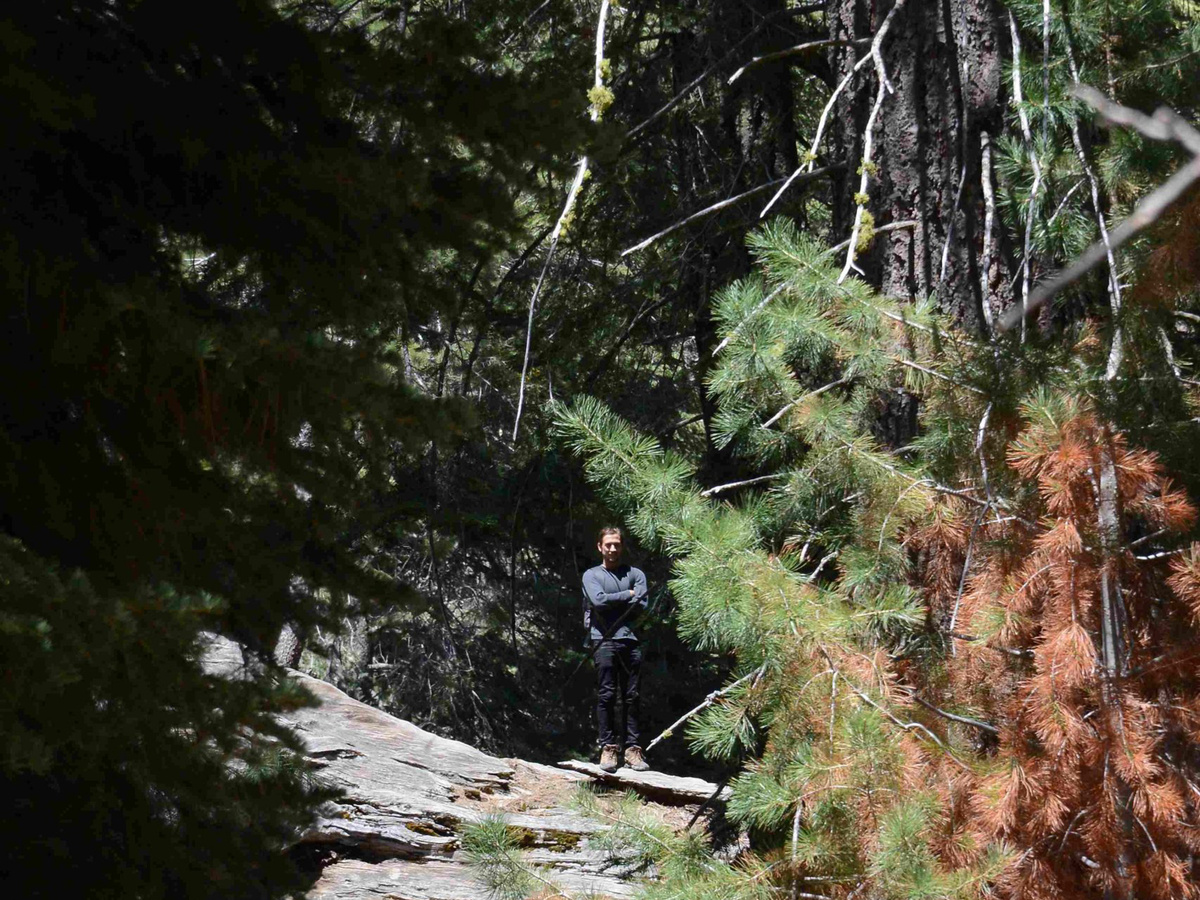 Films — PARA LLEVAR Magazine