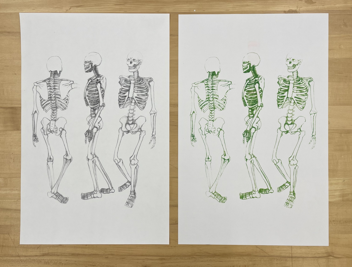 Layers of Anatomy — Julia So Design Portfolio