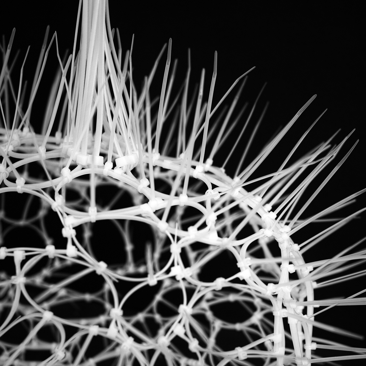 Works — SS2 ARCHITECTS