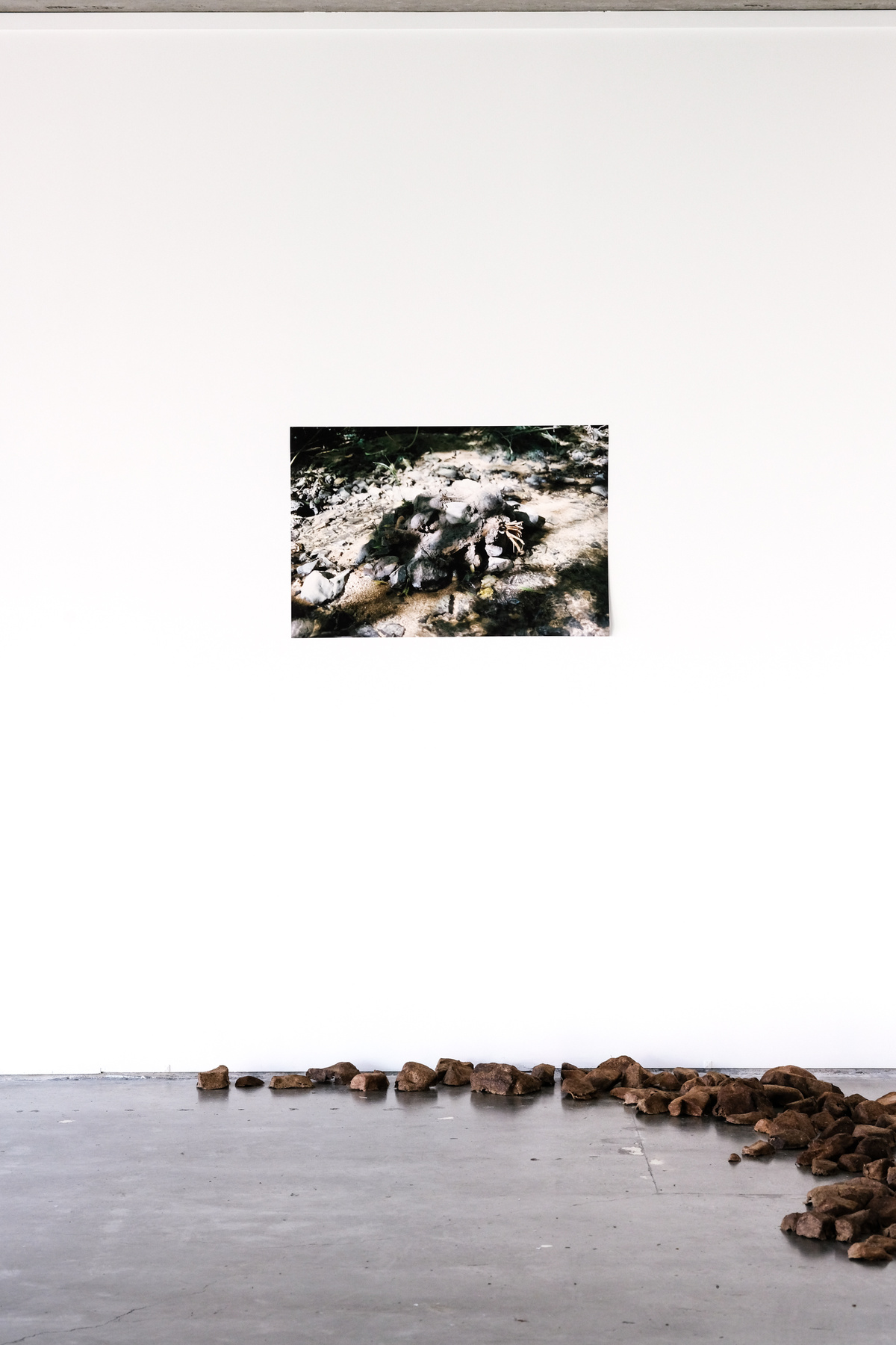 The River Sees Page — Madison Emond