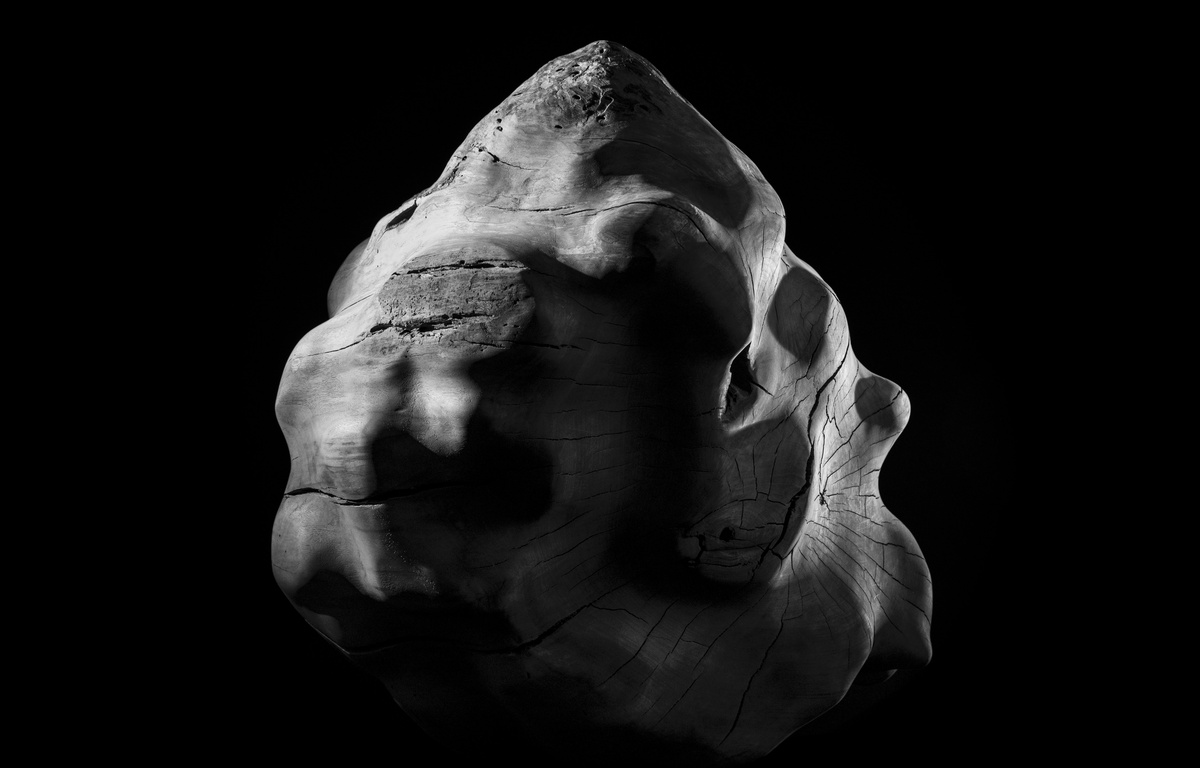 Andy Harding — Tinney Contemporary