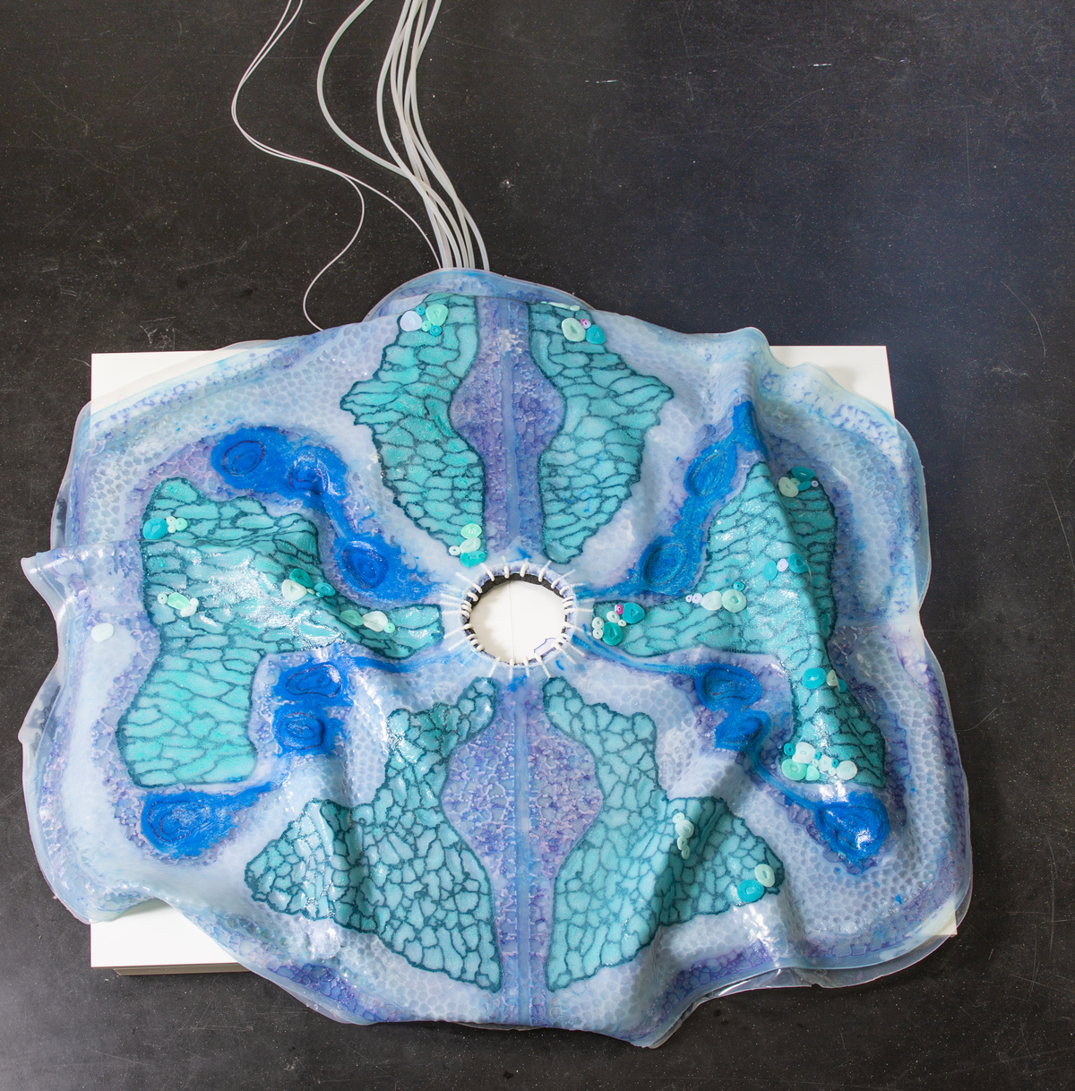 Octopus Skin — Matthijs Koerts - Portfolio