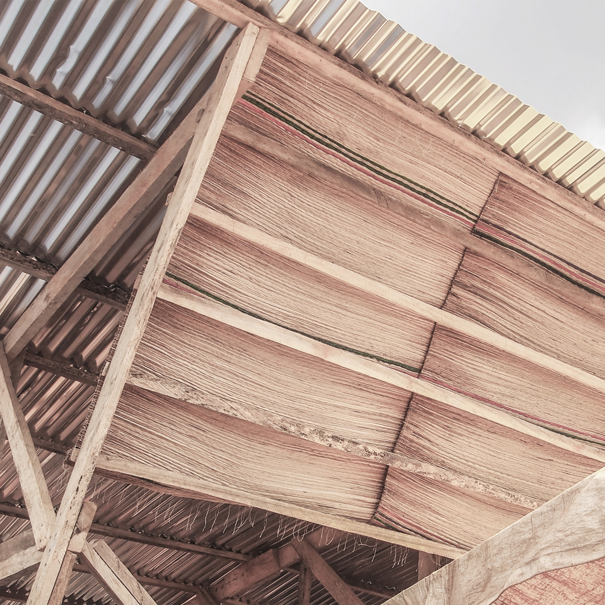 Rainwater Harvester — John Patrick Cunningham / Architect