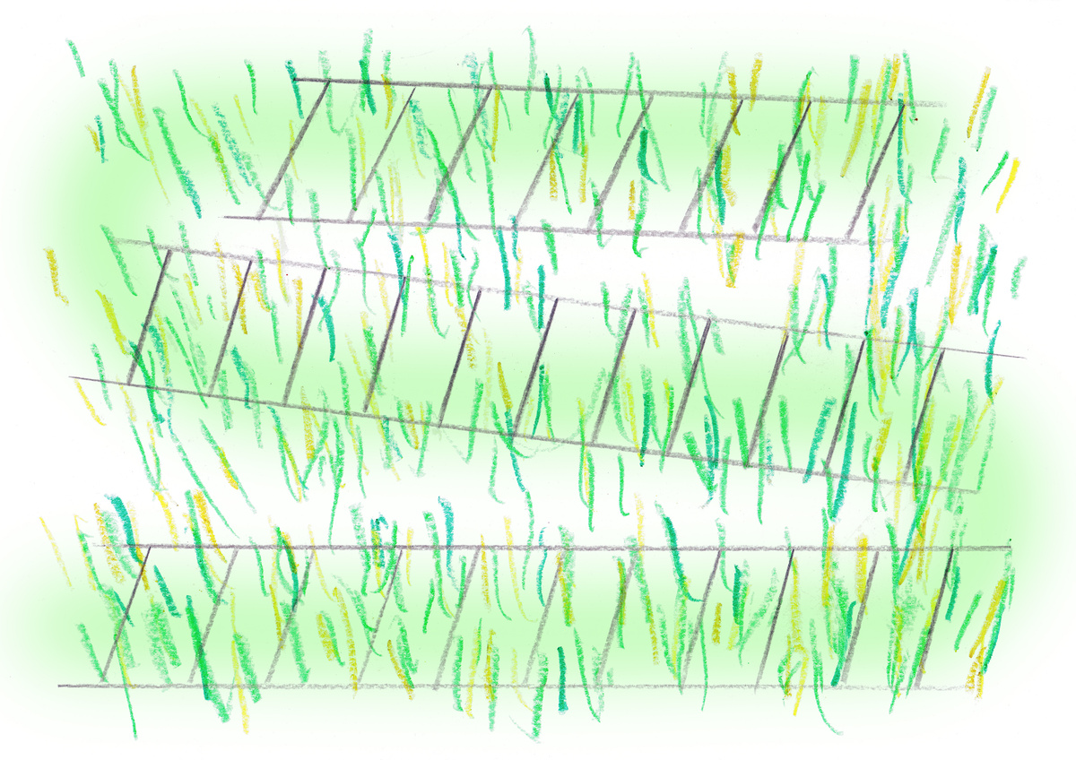 Grass Ladders — JACK CULLIS