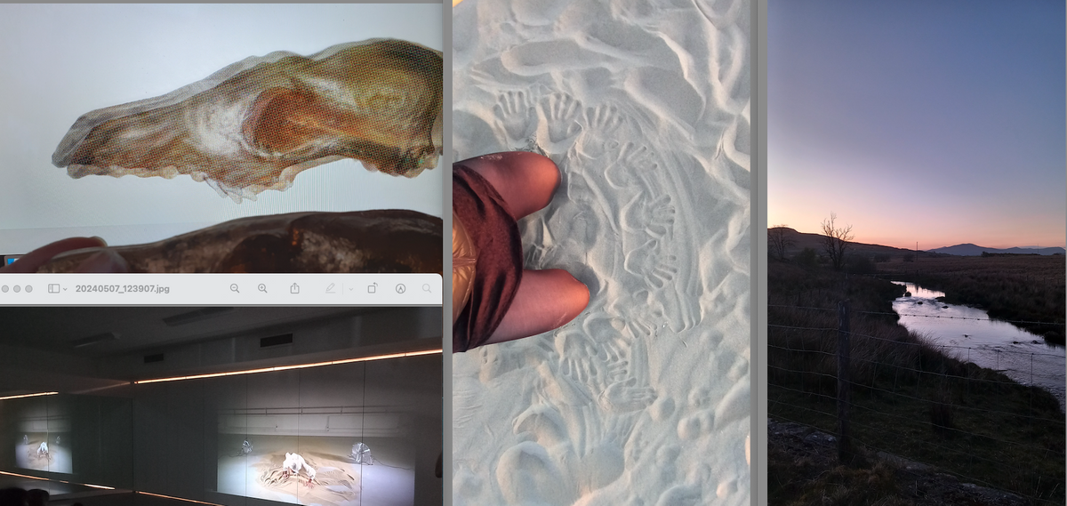 Writing — Caitlin Shepherd