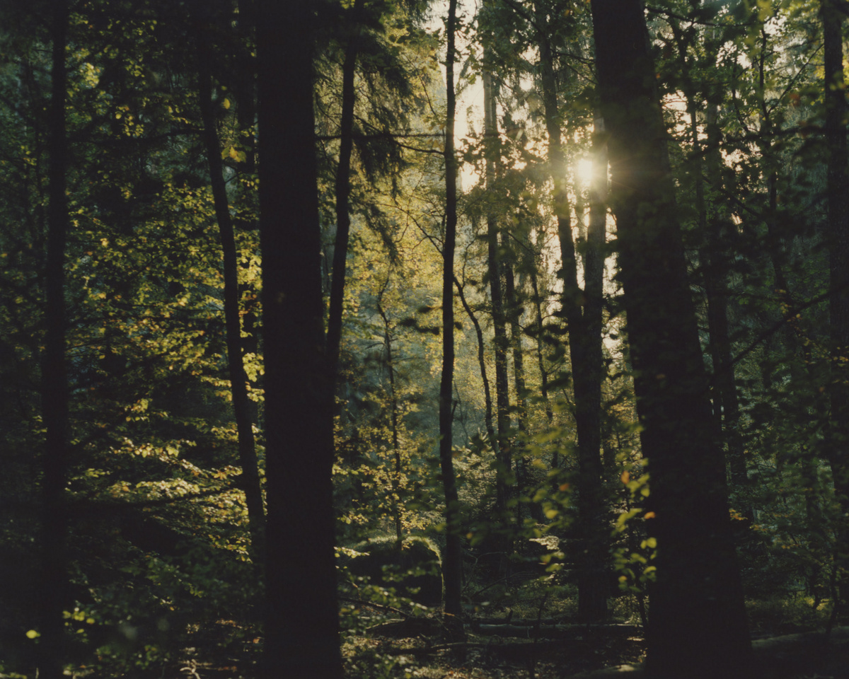 ROO LEWIS || PHOTOGRAPHER