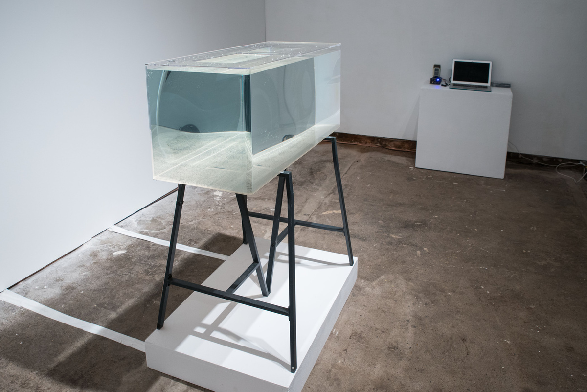 Bodies of Water — Nadia Botello