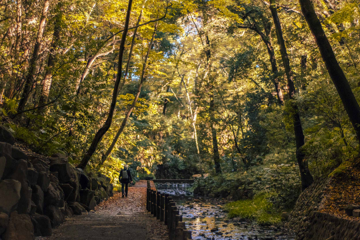 Todoroki Valley Guide — WHEN IN TOKYO | Tokyo's Art, Design and ...