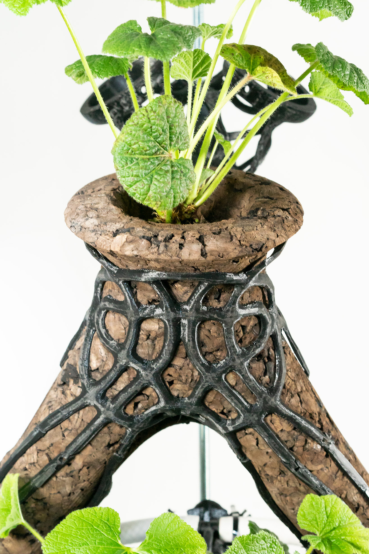 Vertical Grounds — mackenzie van dam