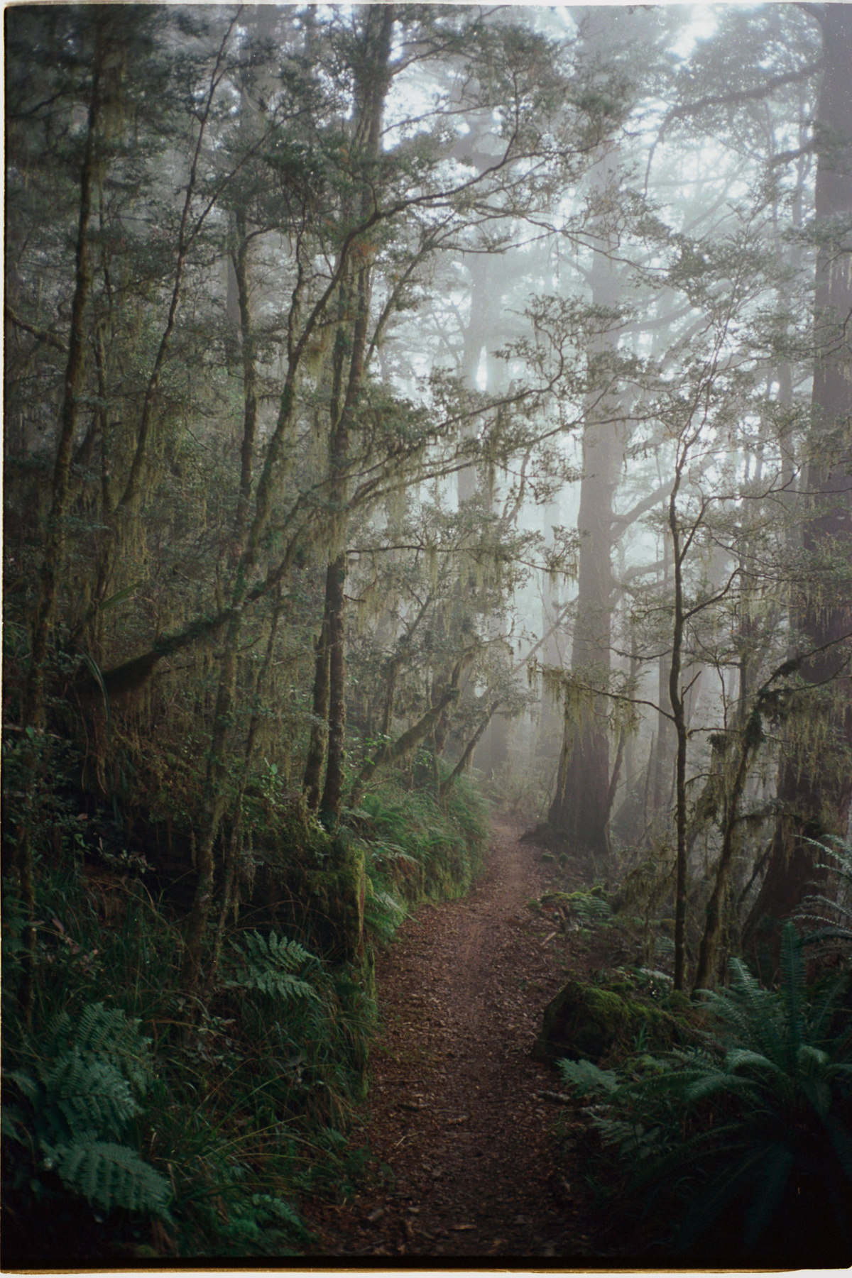 New Zealand Landscapes — Mickey Ross Photography