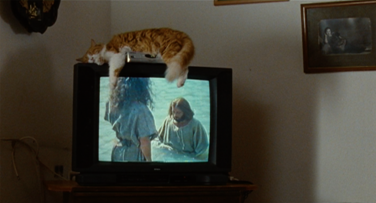 Stillness Amid A Shifting World – Rachel Saltz — Kamal Aljafari