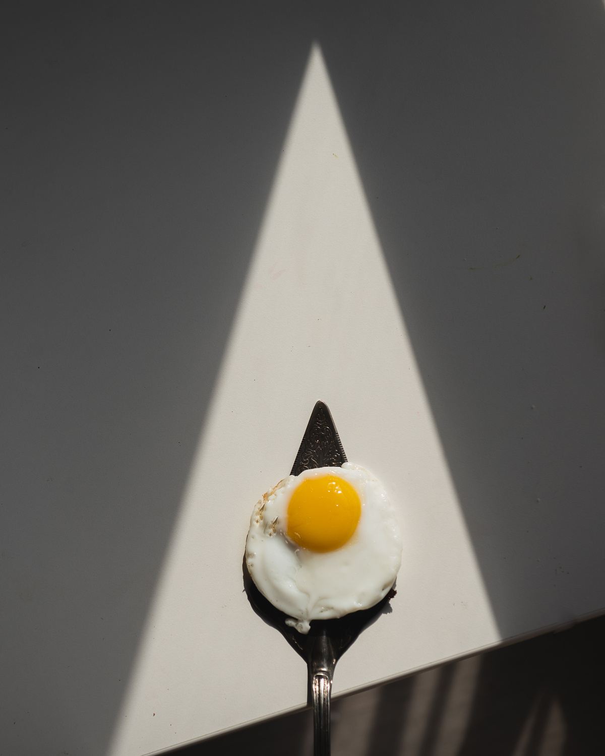 Projects — Dina El- Zeneiny