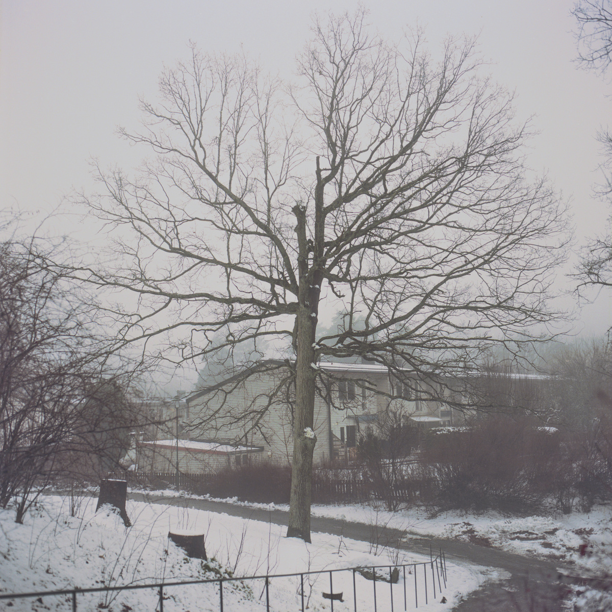 Farsta Strand — Vanni