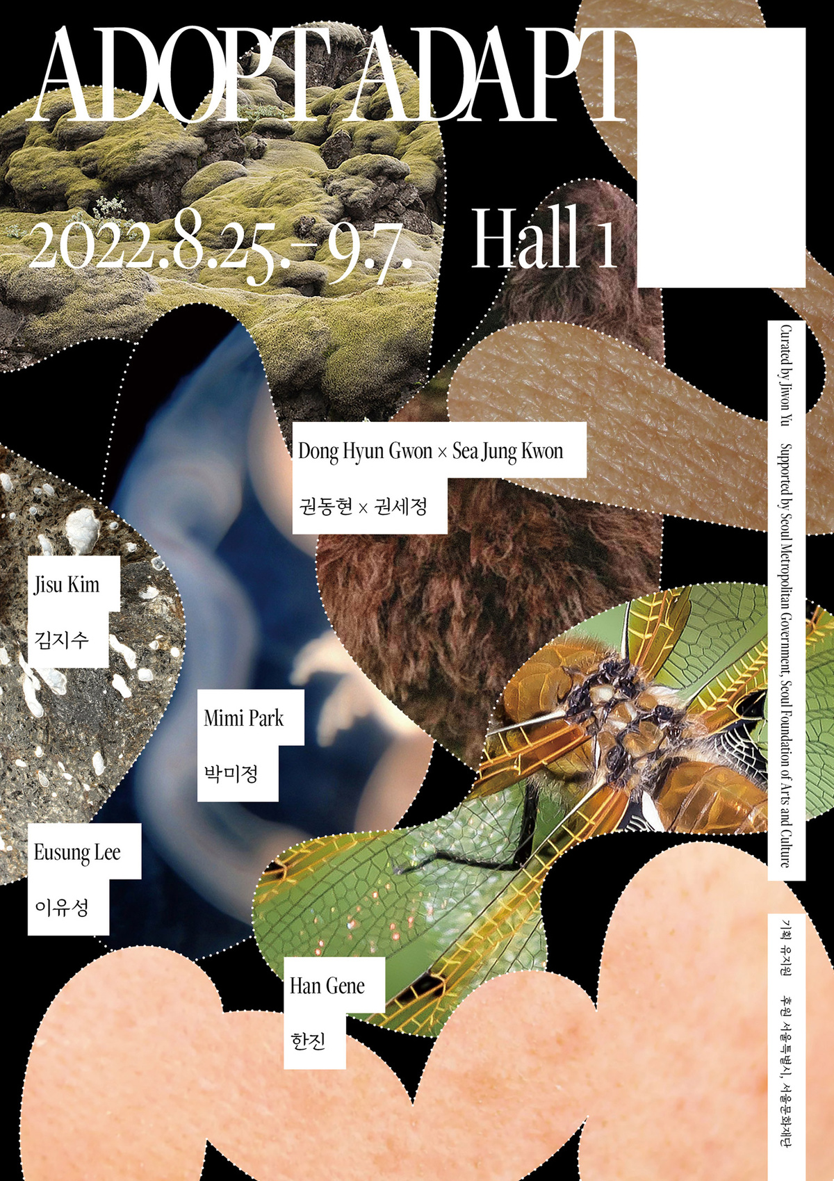 ADOPT ADAPT — yang euddeum