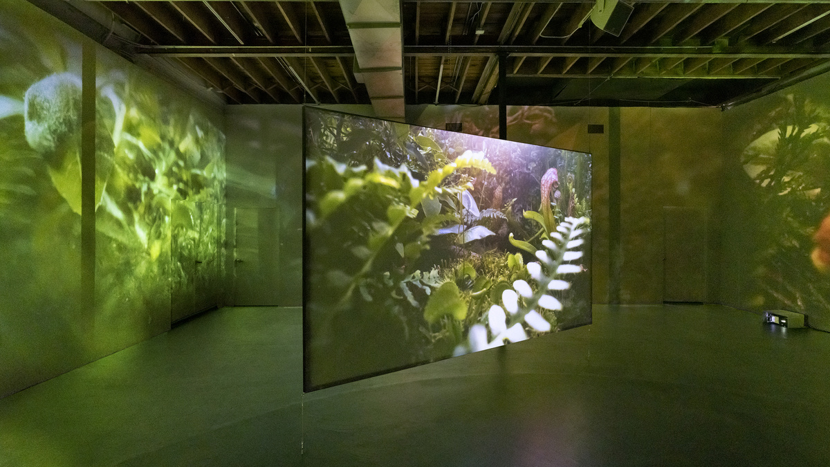 Exploded View Film Loop — Hironaka & Suib > Nadia Hironaka and Matthew ...