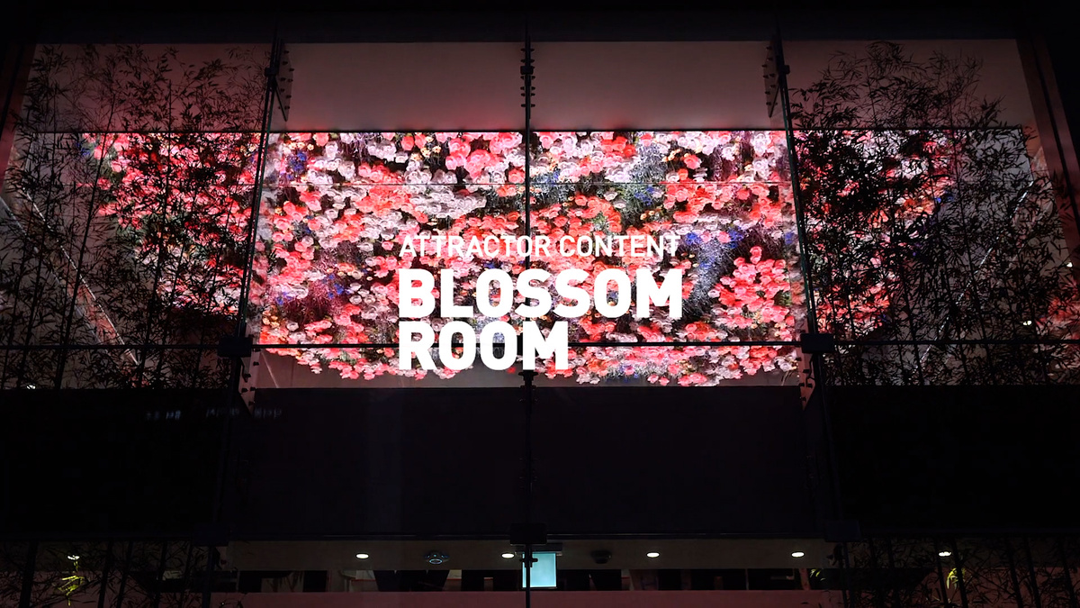 LG Daily TEUM : Blossom Room — sunwooshawnkim2022A