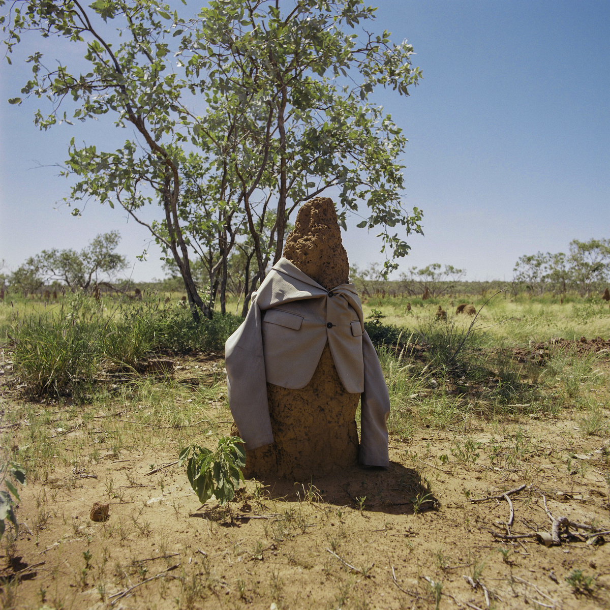 The Land Where the Crow — Alice D.
