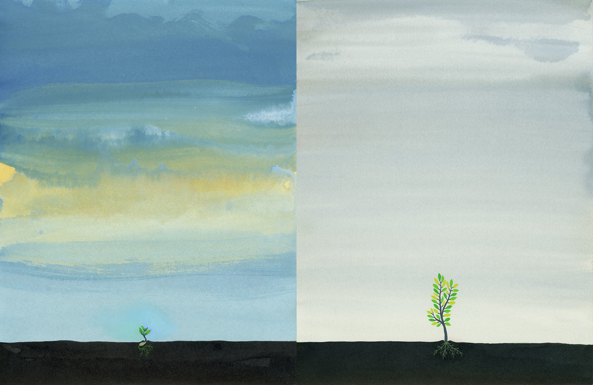 Bunny & Tree — Balint Zsako