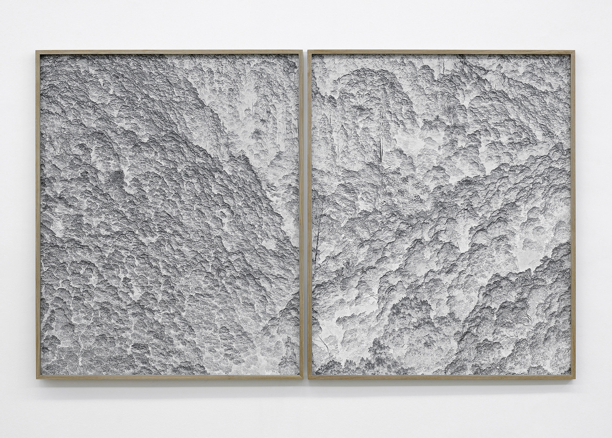 Forest — Tamas Dezsö