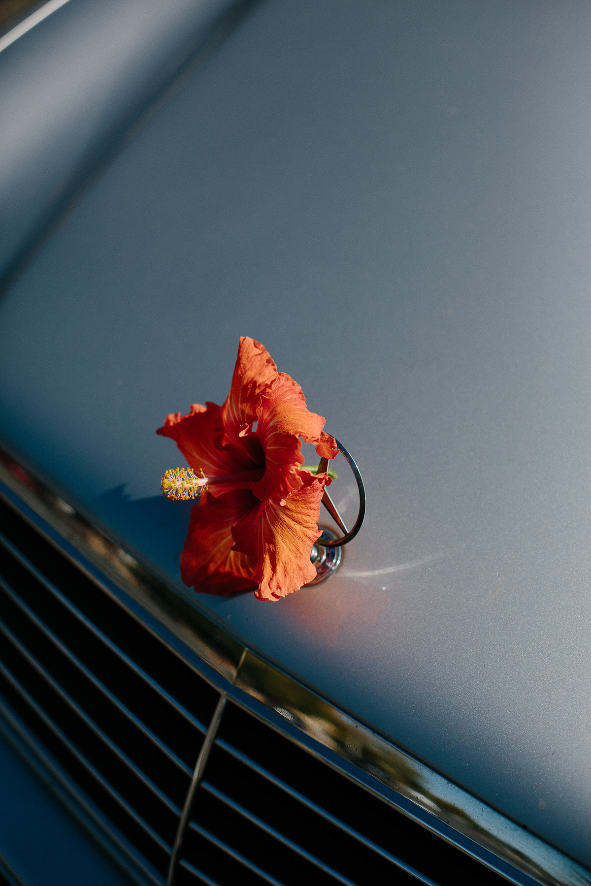 Mercedes Flowers — Michael Pham