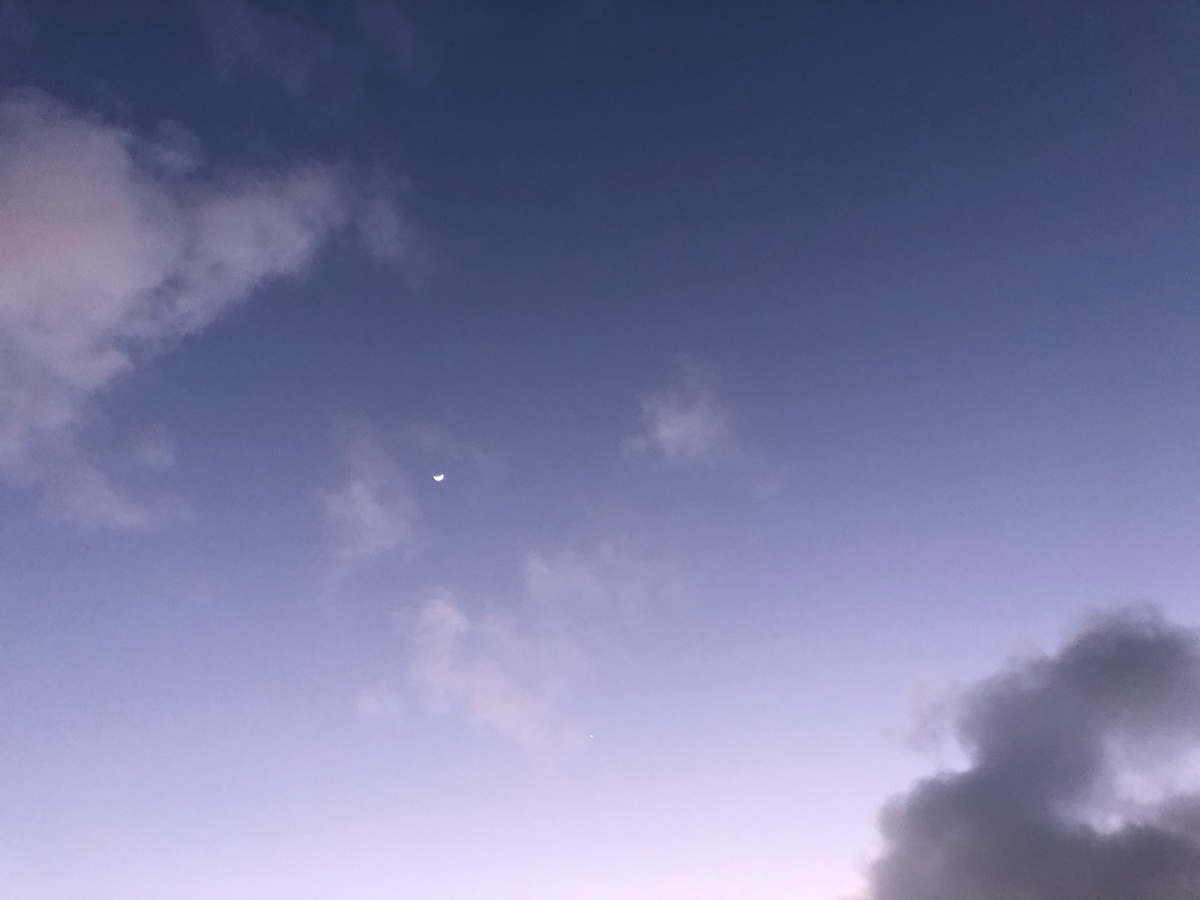 About — Madison Greenstone