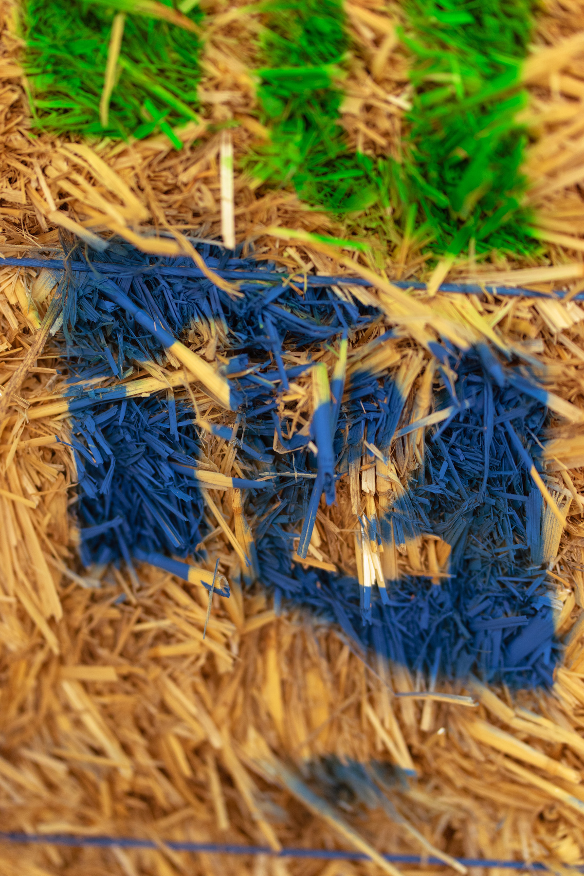 Traffic Barrier — Matt Benjamin