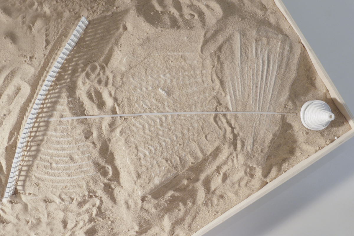 LANDSCAPE OBSERVATORY — maxieschneider.com